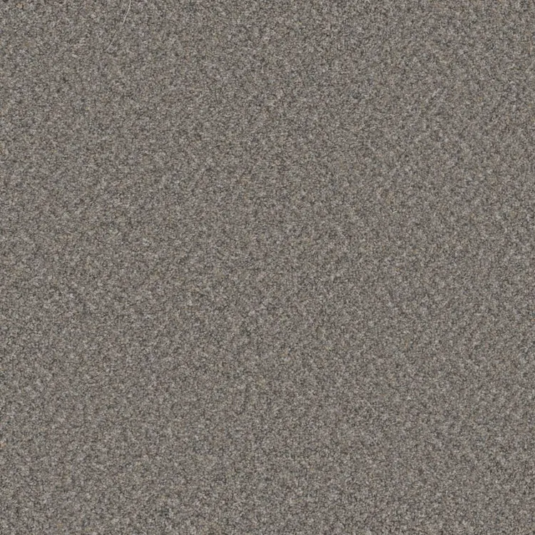 Phenix FloorEver Succeed 919 Excel Textured Polyester Carpet — Stone ...