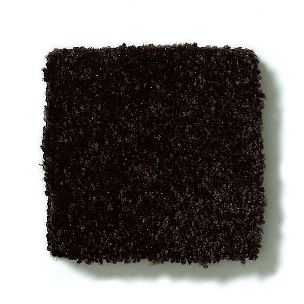 Shaw Floor Studio Home News II 12' 00707 Falcon Brown Polyester Carpet ...