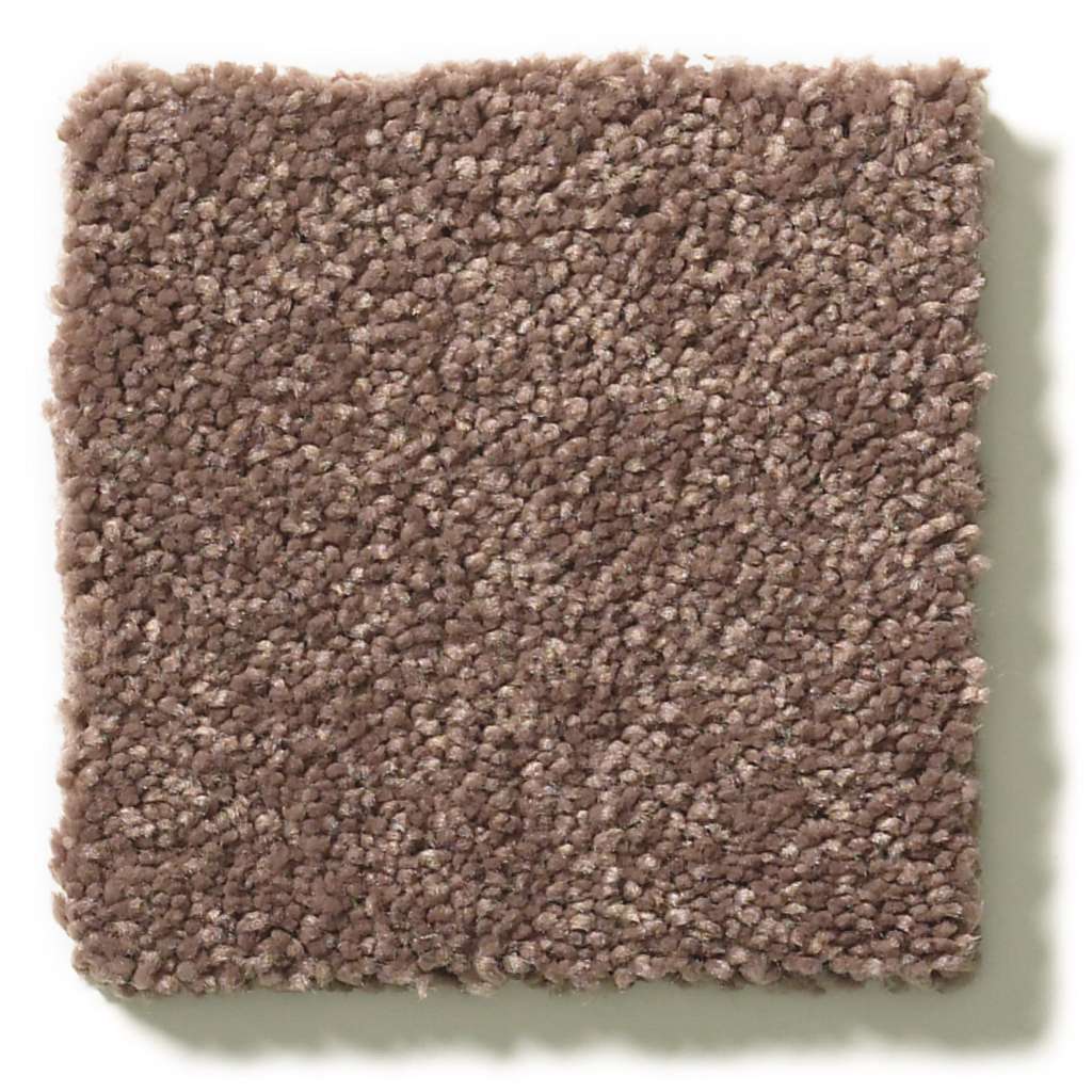 Shaw Simply The Best Momentum II 701S Farmhouse Polyester Carpet ...