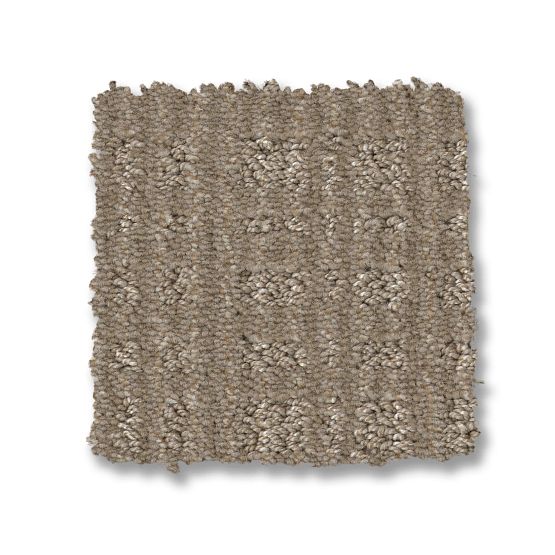 Anderson Tuftex Pet Perfect Purrsuasion 00272 Favorite Tan Carpet ...