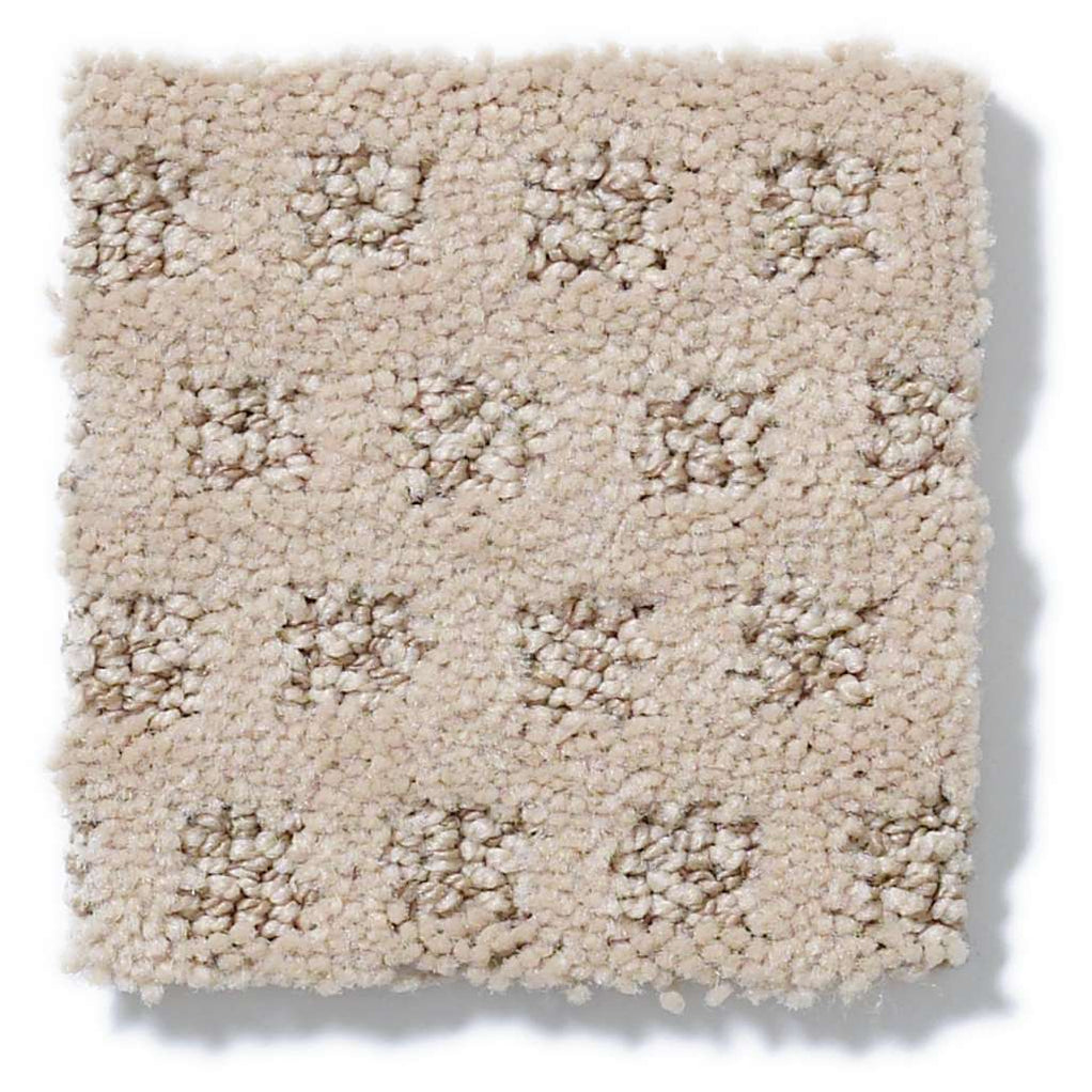Shaw Caress By Shaw The Arts 00110 Fawn Pattern Nylon Carpet — Stone ...