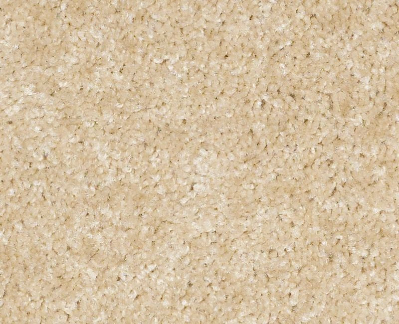 Shaw Instant Winner 00108 Fawn Textured Nylon Carpet | Lowest Price ...