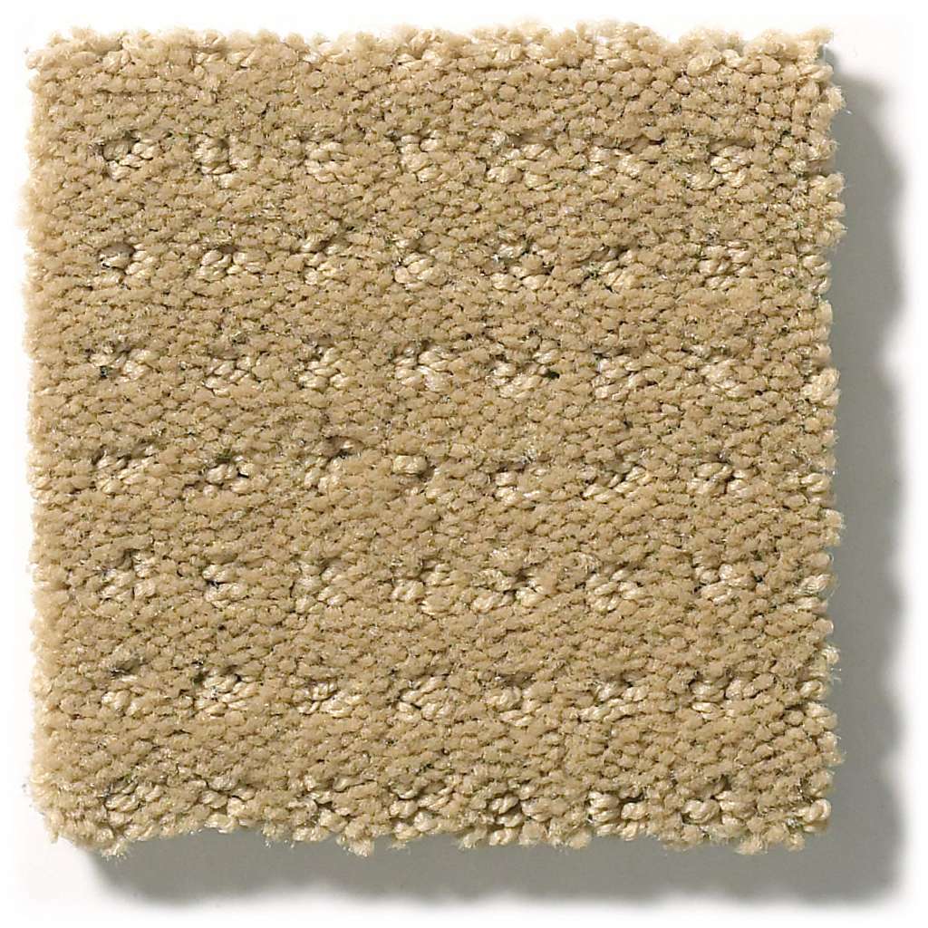 Shaw Westminster 00701 Field Stone Pattern Nylon Carpet | Lowest Price ...