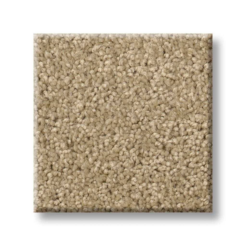 Shaw Origins 00105 Field Stone Textured Nylon Carpet | Lowest Price ...