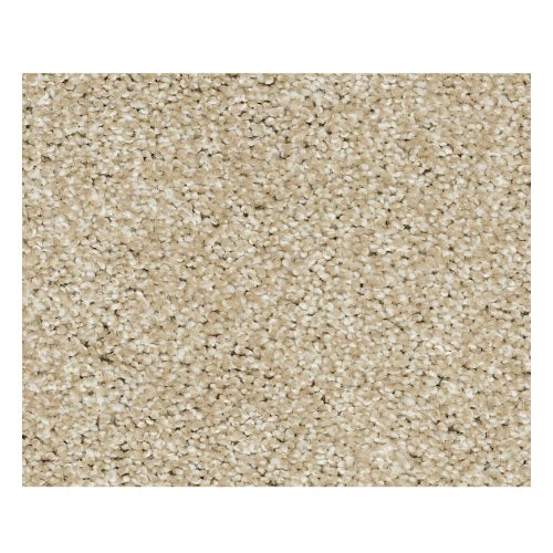 Shaw Striking 00105 Field Stone Textured Nylon Carpet | Lowest Price ...