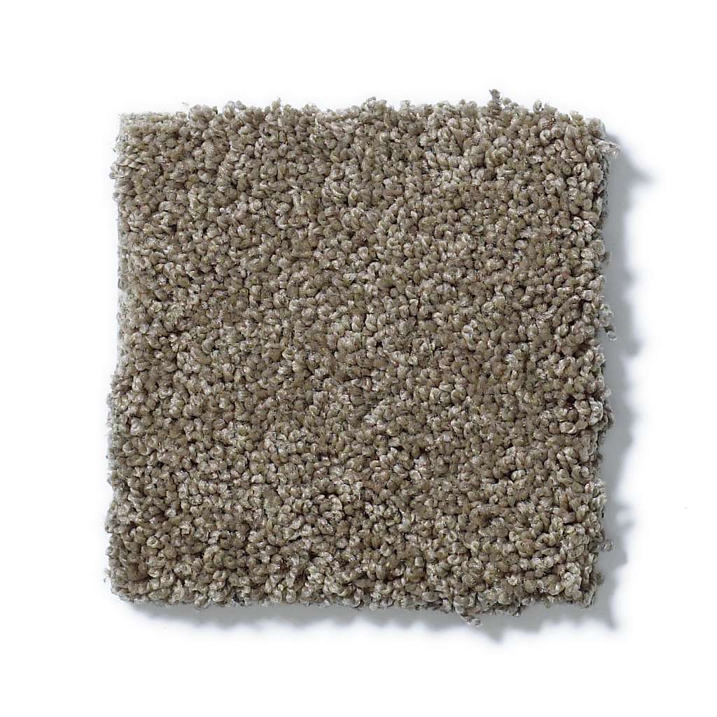 Shaw Soft Shades My Choice III 00751 Flax Textured Nylon Carpet — Stone ...