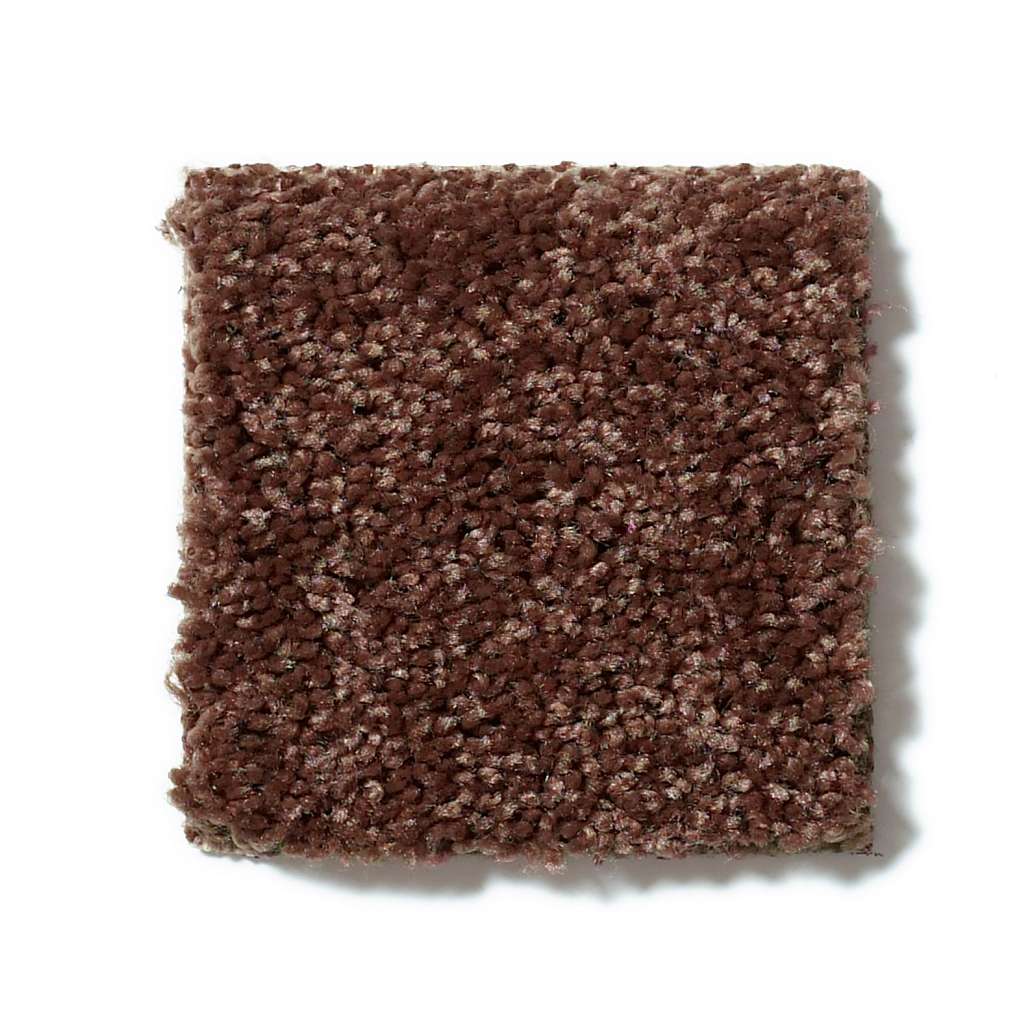 Shaw Queen Point Guard 15' 00610 Flower Pot Textured Polyester Carpet ...