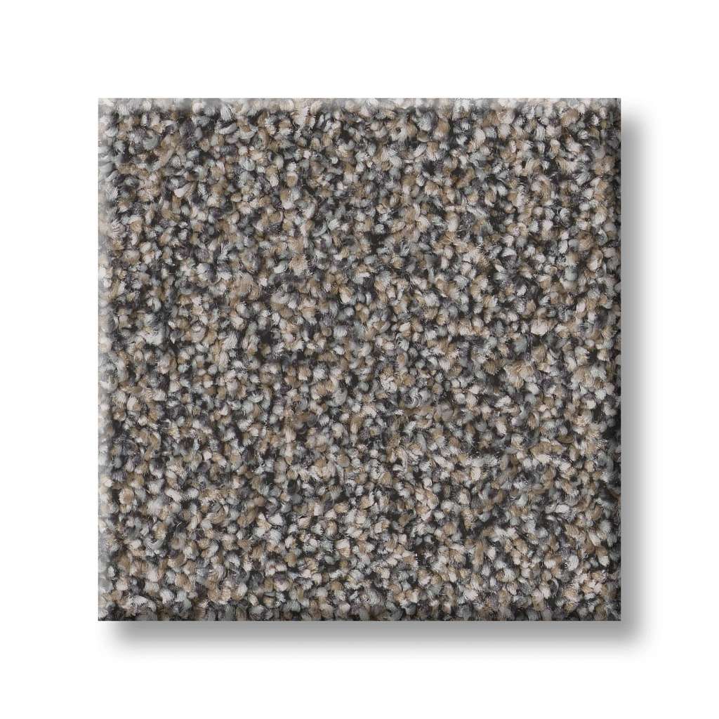 Shaw Pet Perfect Plus Points Of Color II 00503 Fog Polyester Carpet ...