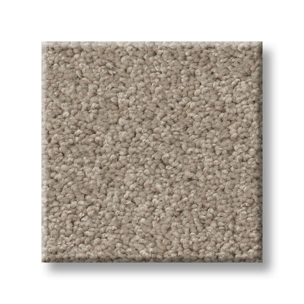 Shaw Origins II 00564 Fossil Textured Nylon Carpet | Lowest Price ...