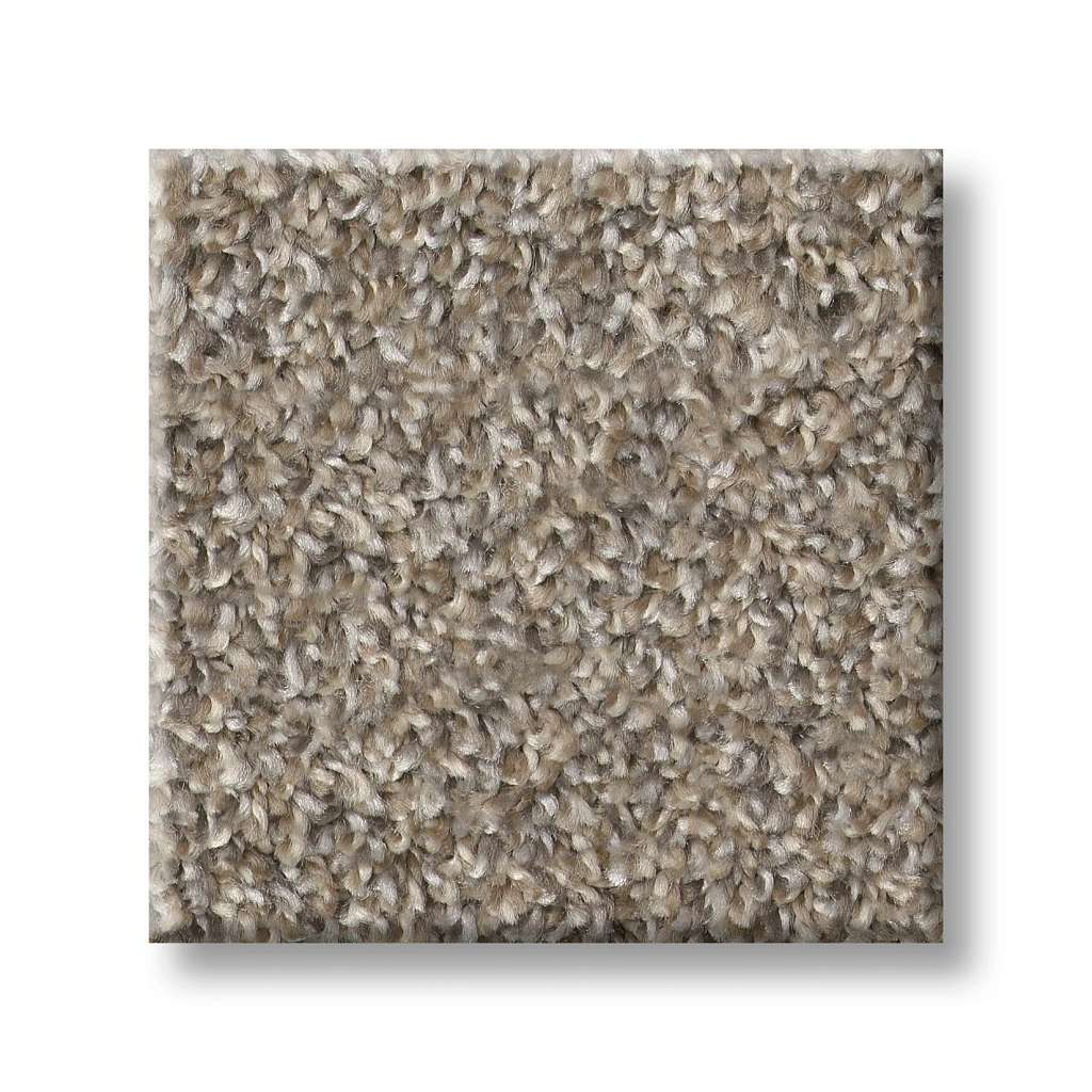 Shaw Shake It Up (A) 00102 Fox Fur Textured Polyester Carpet — Stone ...