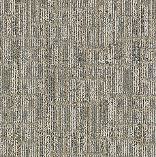 Aladdin Commercial Inspiration Enduring Function 841 Fresh Perspective ...