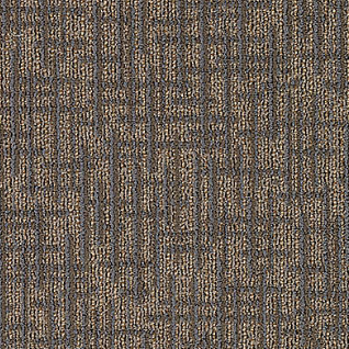 Aladdin Commercial Inspiration Transversal Approach 841 Fresh ...