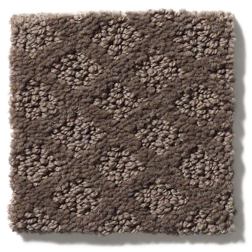 Shaw Foundations Entwined With You 00773 Front Gate Nylon Carpet ...
