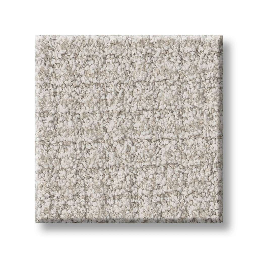 Shaw Foundations Aerial Arts 00500 Frost Pattern Nylon Carpet — Stone ...