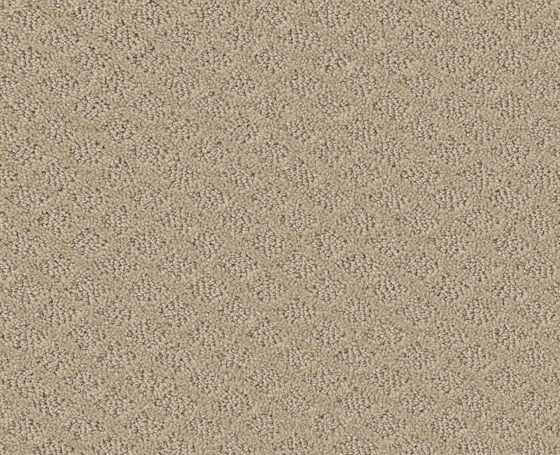 Shaw Watermark Diamond 00104 Frost Pattern Nylon Carpet | Lowest Price ...