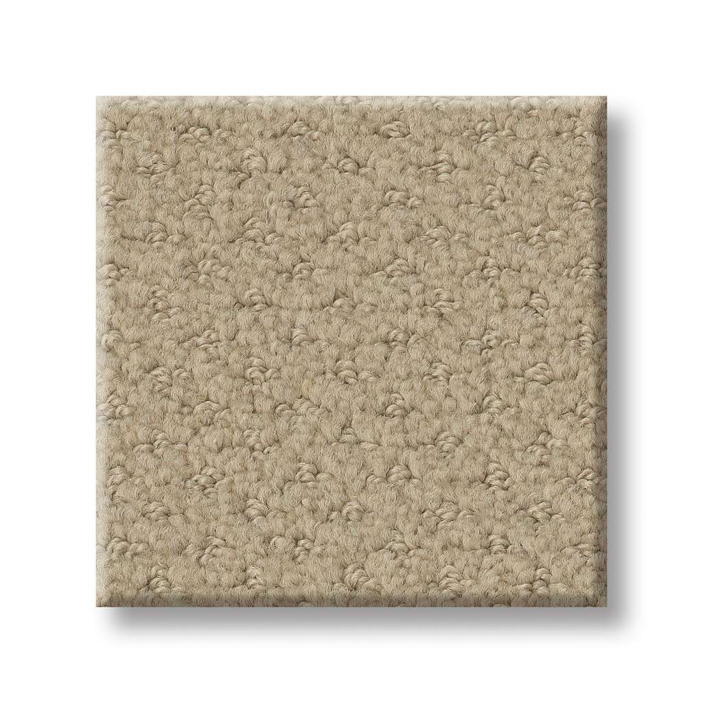 Shaw Genesis 00104 Frost Pattern Nylon Carpet | Lowest Price — Stone ...