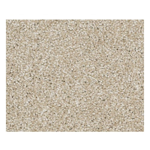 Shaw Striking 00104 Frost Textured Nylon Carpet | Lowest Price — Stone ...