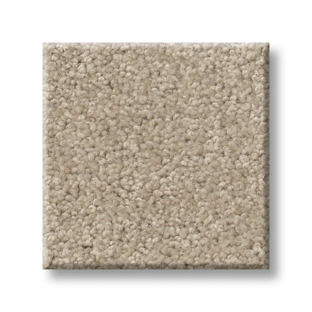 Shaw Origins 00104 Frost Textured Nylon Carpet | Lowest Price — Stone ...