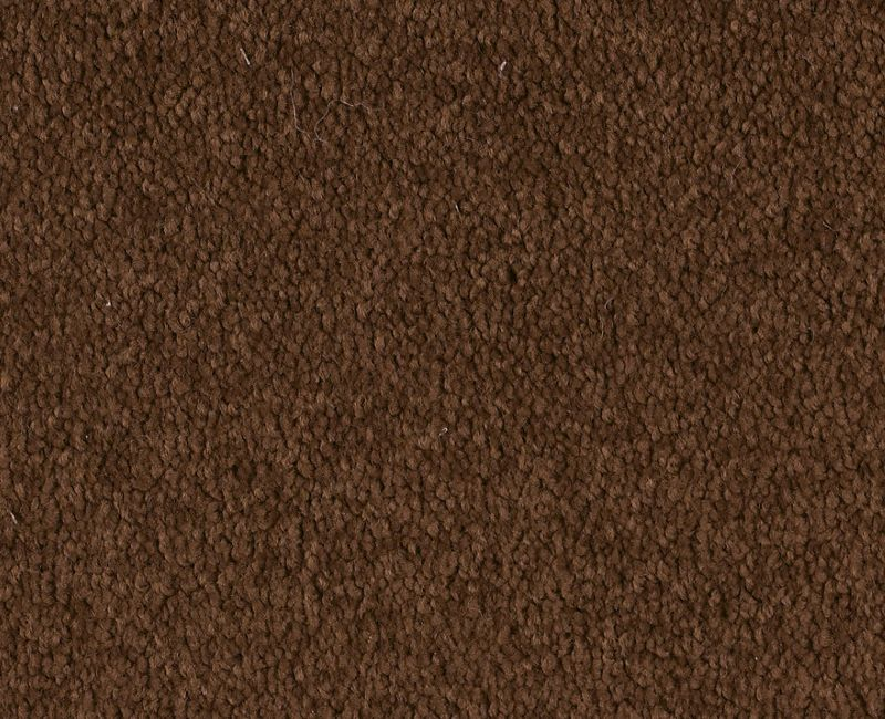 Shaw Before Dawn (S) 00707 Fudge Textured Nylon Carpet | Lowest Price ...
