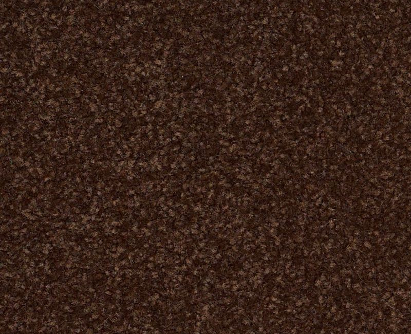 Shaw Magic Happens PV III 00711 Fudge Brownie Textured Nylon Carpet ...