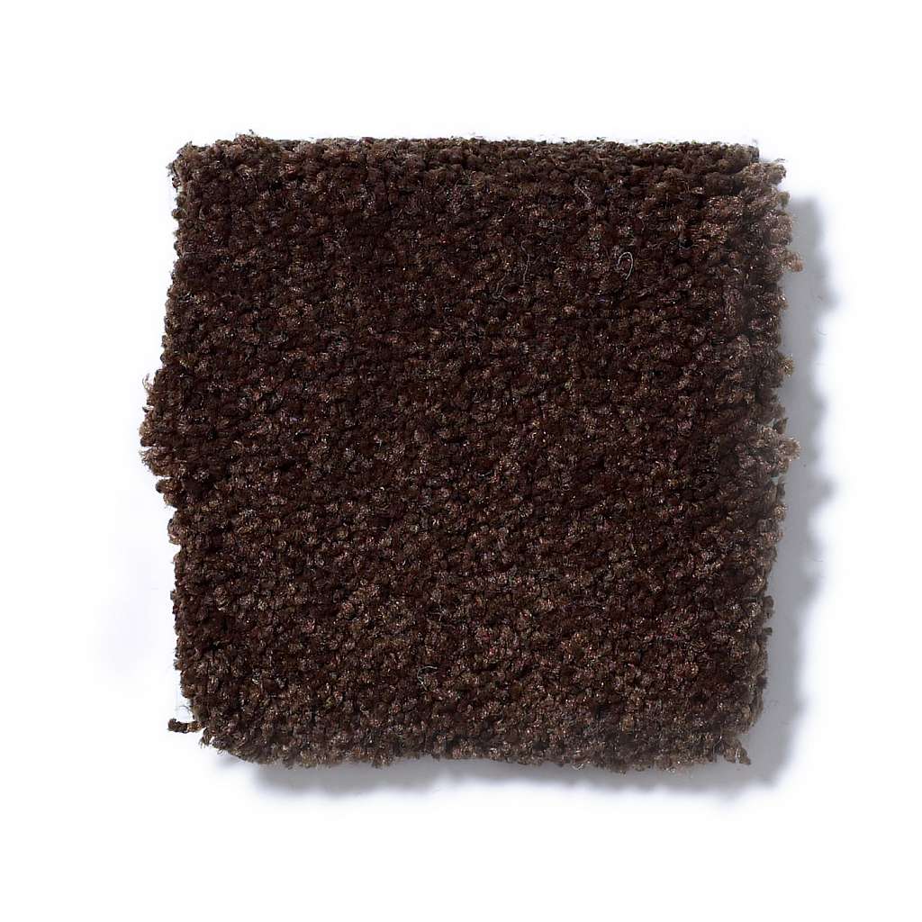 Shaw Magic At Last IV 12 00711 Fudge Brownie Textured Nylon Carpet ...