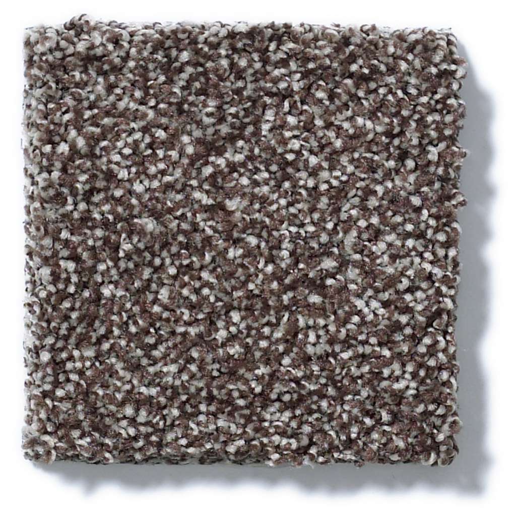 Shaw You Know It 00717 Fudge Ripple Textured Nylon Carpet — Stone ...