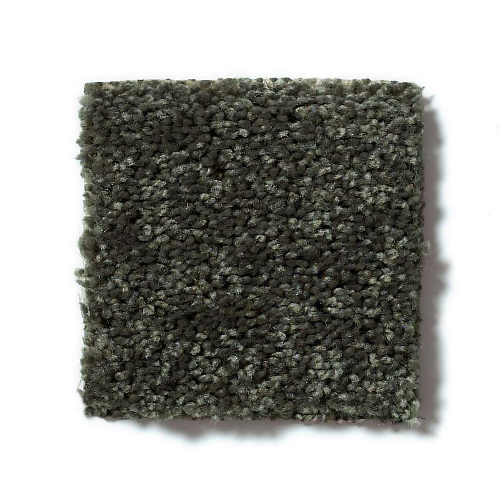 Shaw Queen Point Guard 15' 00301 Garden Grove Polyester Carpet — Stone ...