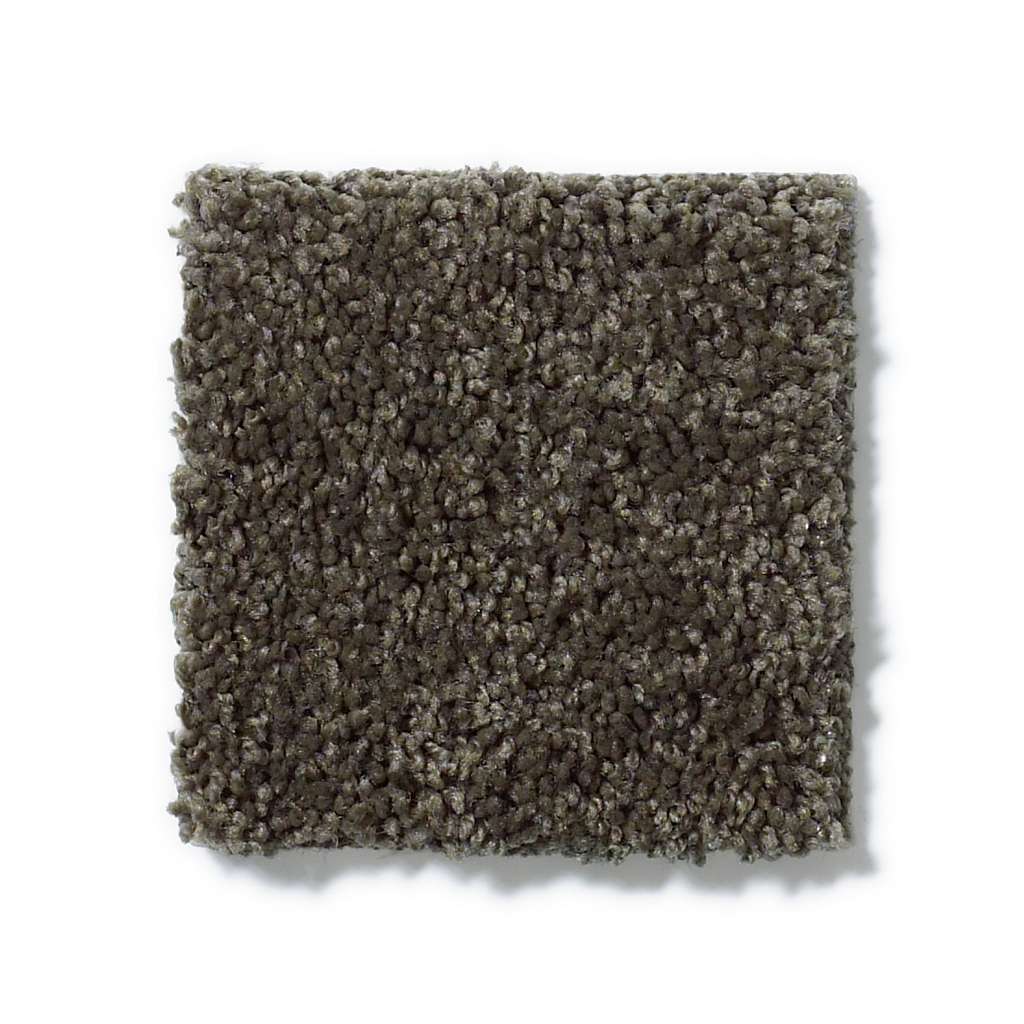 Shaw Origins 00311 Garden Retreat Textured Nylon Carpet | Lowest Price ...