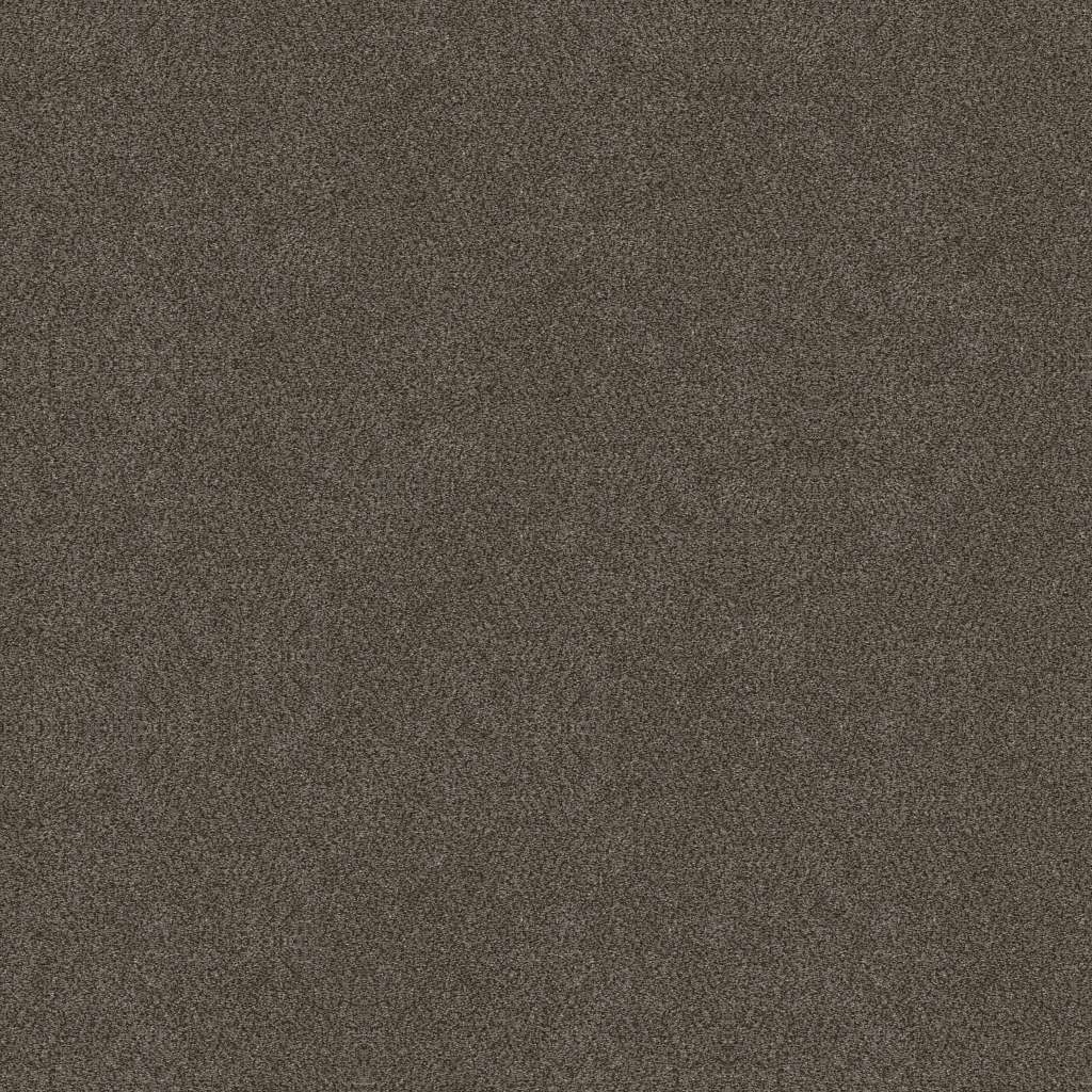 Shaw Simply The Best Boundless I 00702 Gateway Polyester Carpet — Stone ...