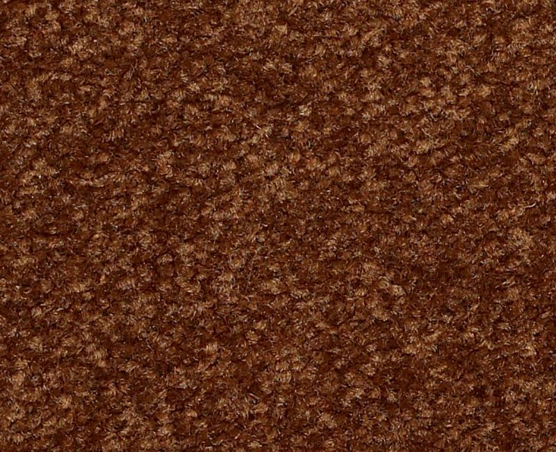 Shaw Porto Veneri III 15' 00602 Gingerbread Textured Nylon Carpet ...