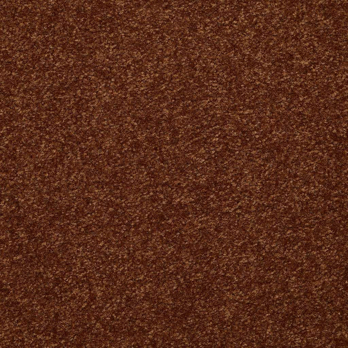 Shaw Queen Harborfields I 12' 00602 Gingerbread Textured Nylon Carpet ...