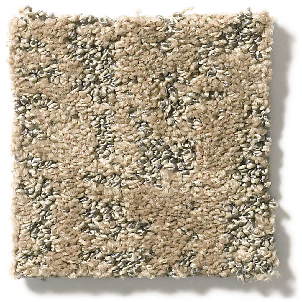Shaw Pet Perfect Plus Obvious Choice 00200 Gold Rush Polyester Carpet ...