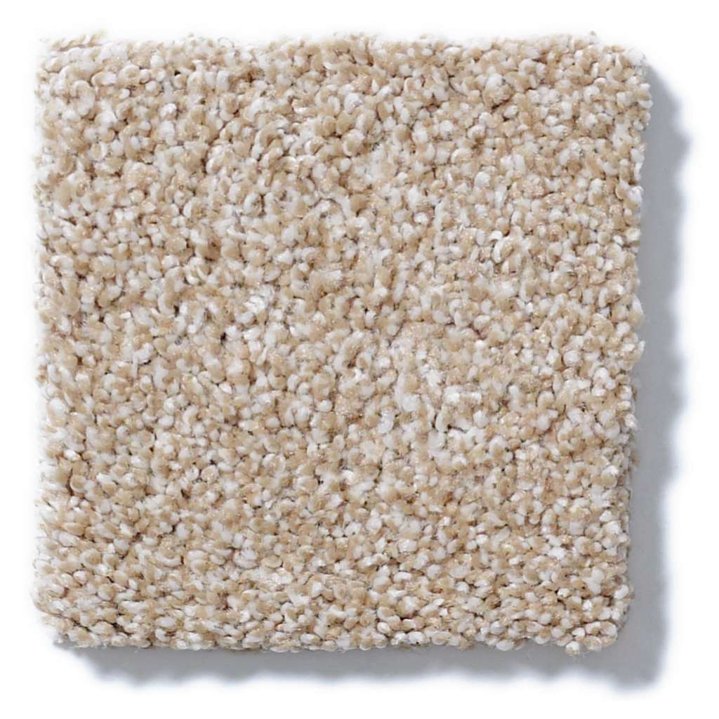 Shaw Foundations Always Ready II 00290 Gold Rush Textured Nylon Carpet ...