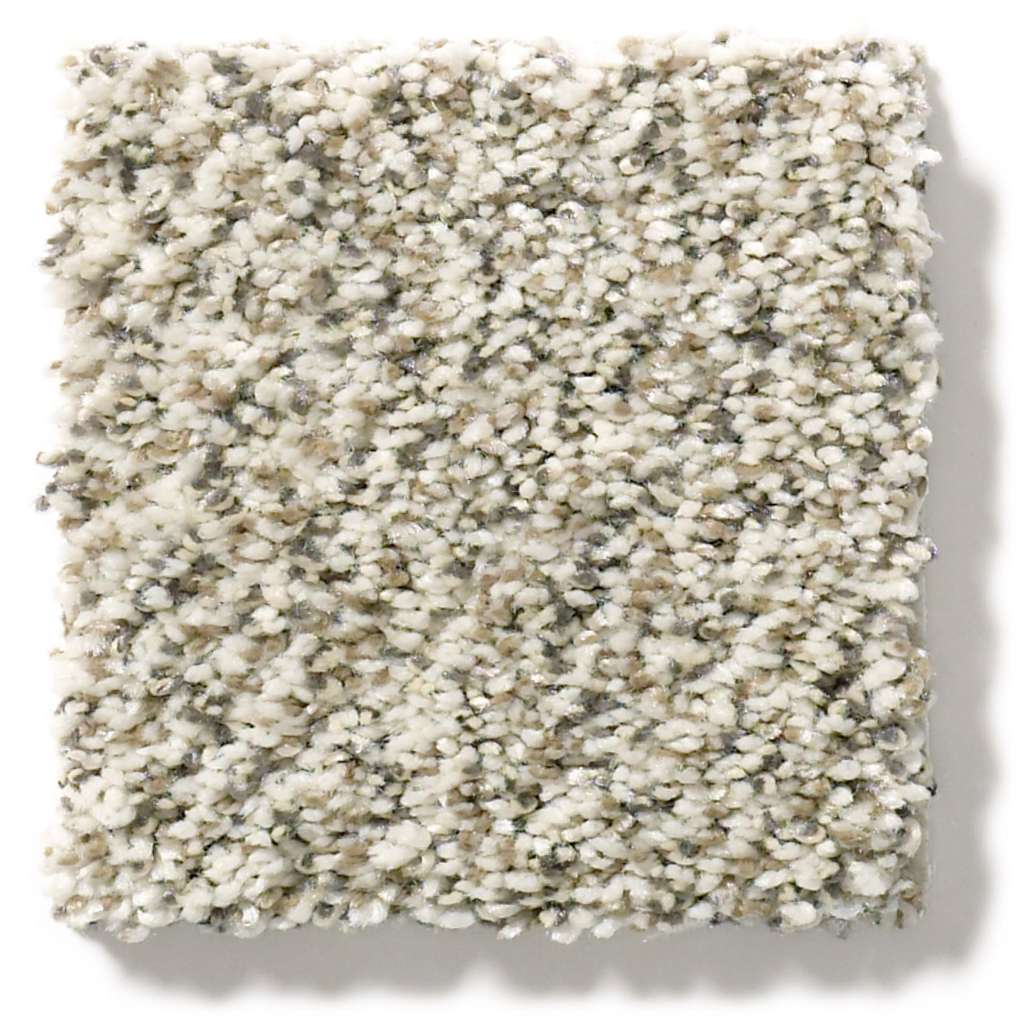 Shaw Simply The Best All Set II 00101 Goose Feather Polyester Carpet ...