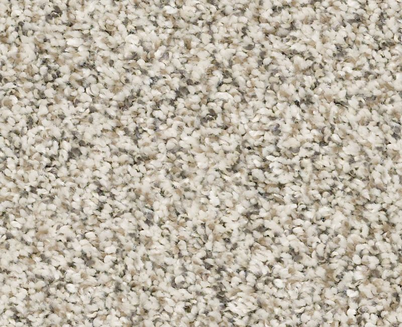 Shaw Marks The Spot I 00101 Goose Feather Textured Polyester Carpet ...