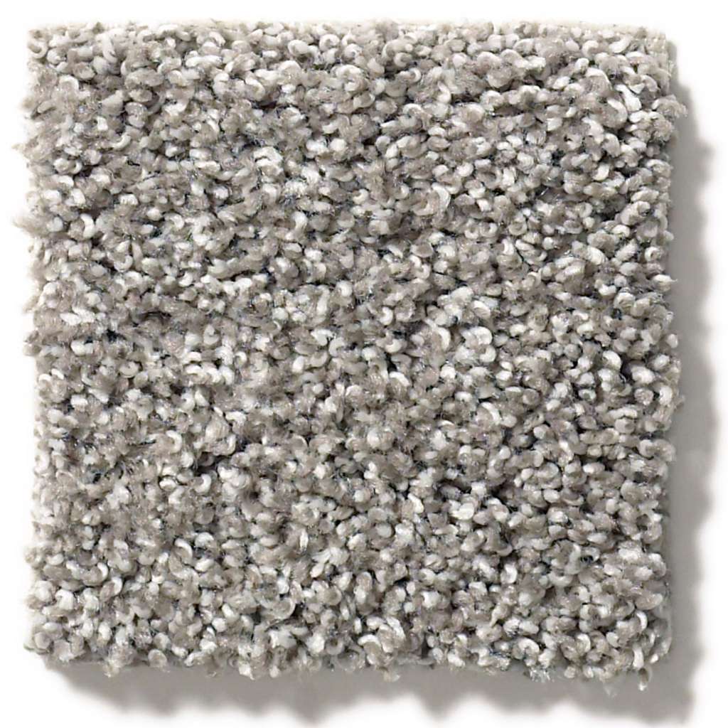 Shaw Go For It 00713 Granite Textured Nylon Carpet | Lowest Price ...