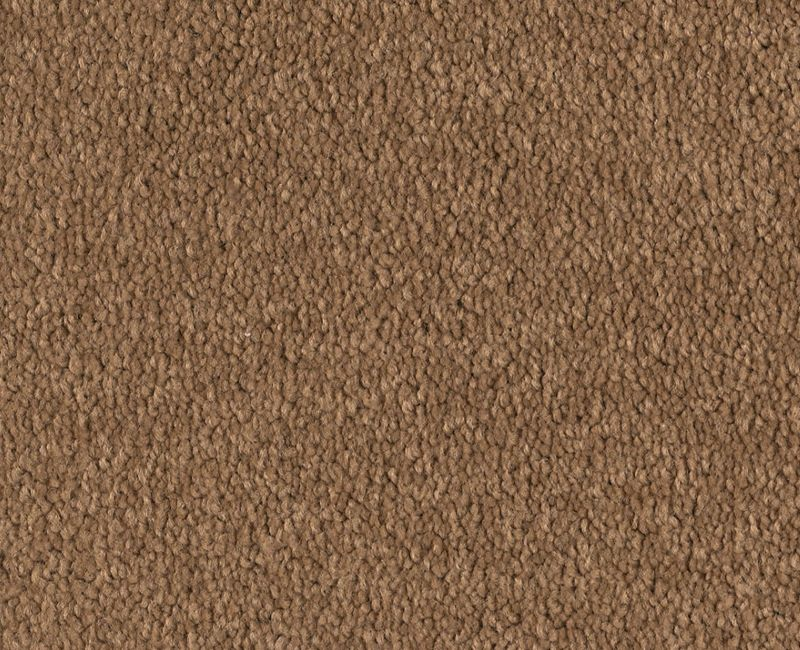 Shaw Before Dawn (S) 00702 Granola Textured Nylon Carpet — Stone & Tile ...