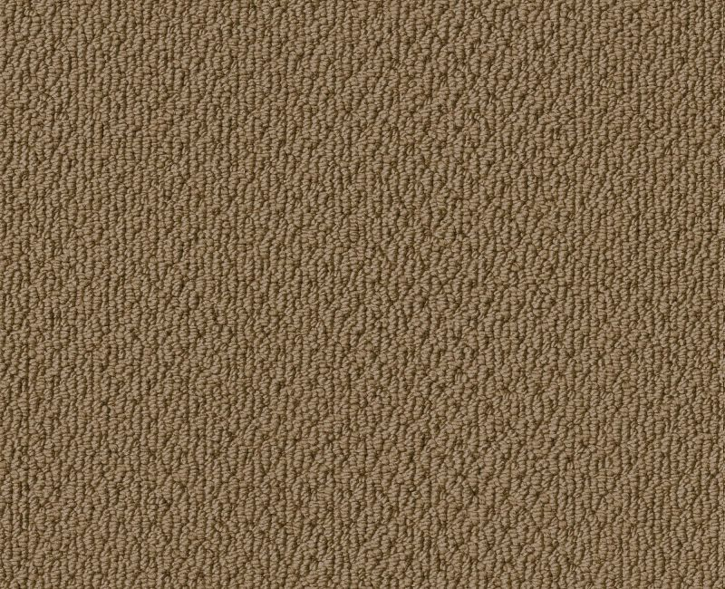 Shaw La Corra 00702 Granola Loop Nylon Carpet | Lowest Price — Stone ...