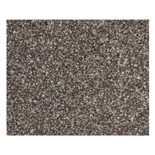 Shaw Vacation Day 28712 Granola Textured Nylon Carpet | Lowest Price ...