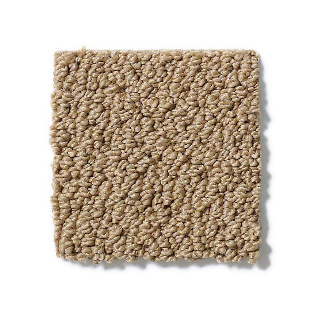 Shaw Traditional Elegance 00702 Granola Loop Nylon Carpet — Stone ...