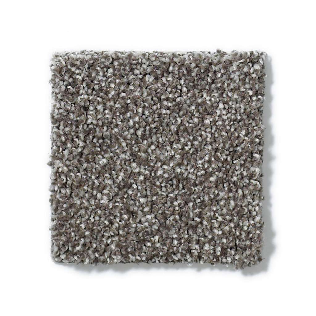 Shaw Picturesque 00712 Graphite Textured Nylon Carpet | Lowest Price ...