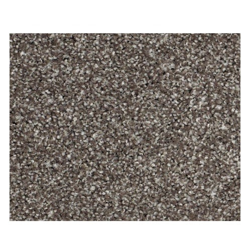 Shaw Striking 00712 Graphite Textured Nylon Carpet | Lowest Price ...