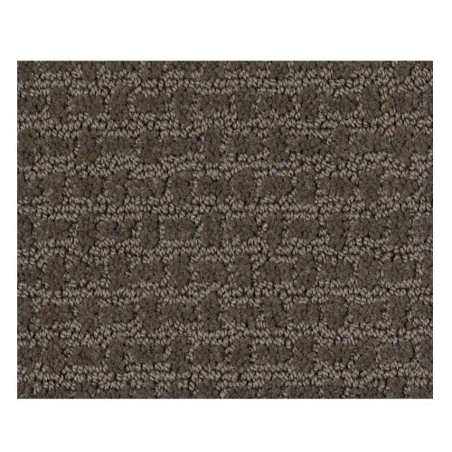 Shaw Stimulate The Senses 00712 Graphite Pattern Nylon Carpet — Stone ...