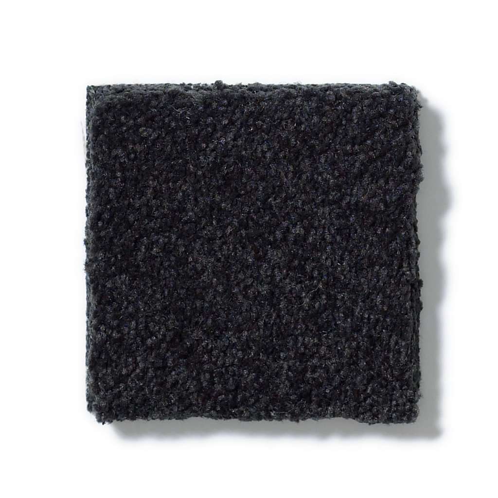 Shaw Sandy Hollow III 12' 00503 Graphite Textured Nylon Carpet — Stone ...