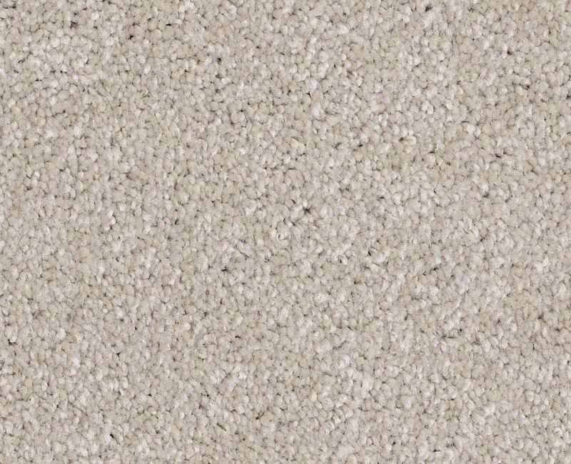 Shaw Anso Open I (S) 00106 Greige Textured Nylon Carpet | Lowest Price ...