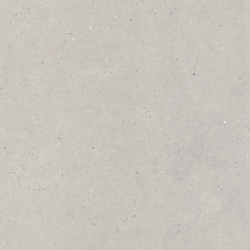 Eleganza Silver Grain Grey Matte Porcelain Tile | Lowest Price — Stone ...