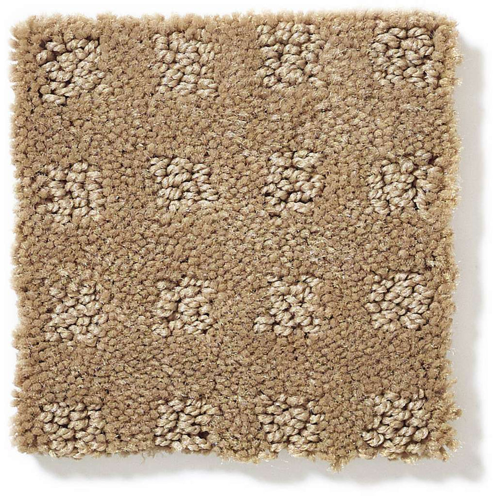 Shaw Foundations Alluring Disposition 00796 Grounded Nylon Carpet ...