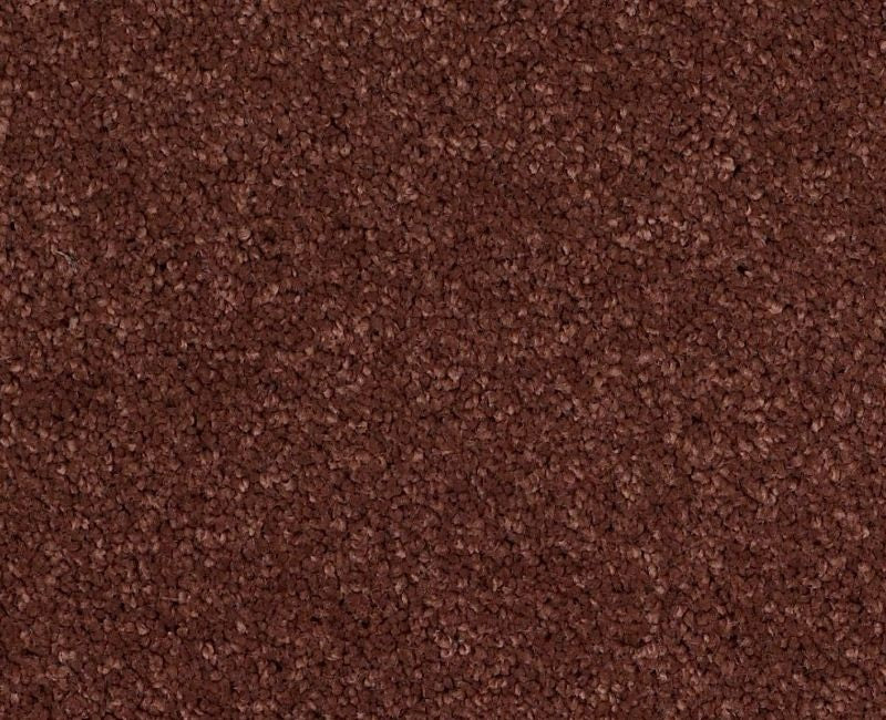 Shaw Pelotage IV 00603 Guanaco Textured Nylon Carpet | Lowest Price ...