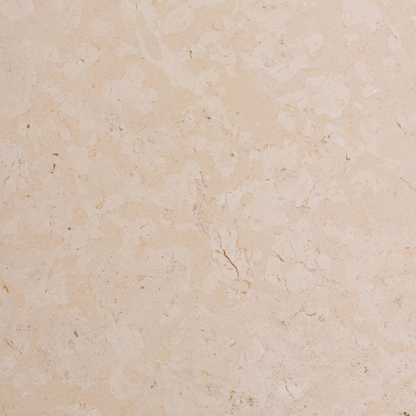St. Croix Limestone Tile - Honed | Lowest Price — Stone & Tile Shoppe, Inc.