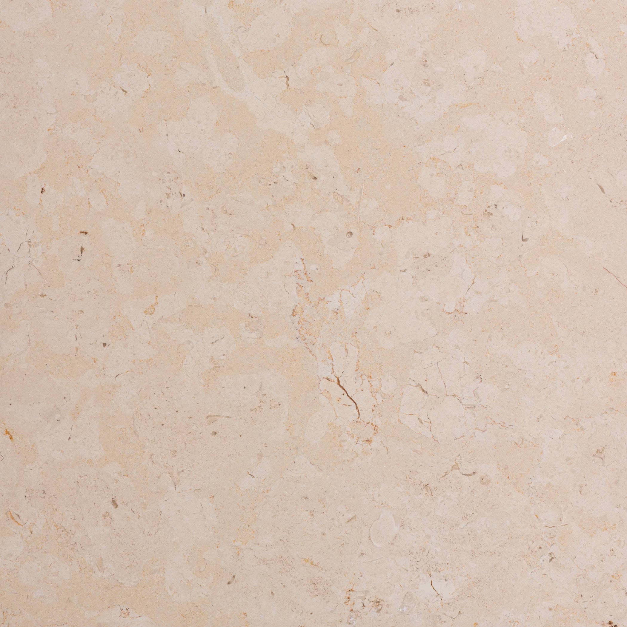 St. Croix Limestone Tile - Honed | Lowest Price — Stone & Tile Shoppe, Inc.